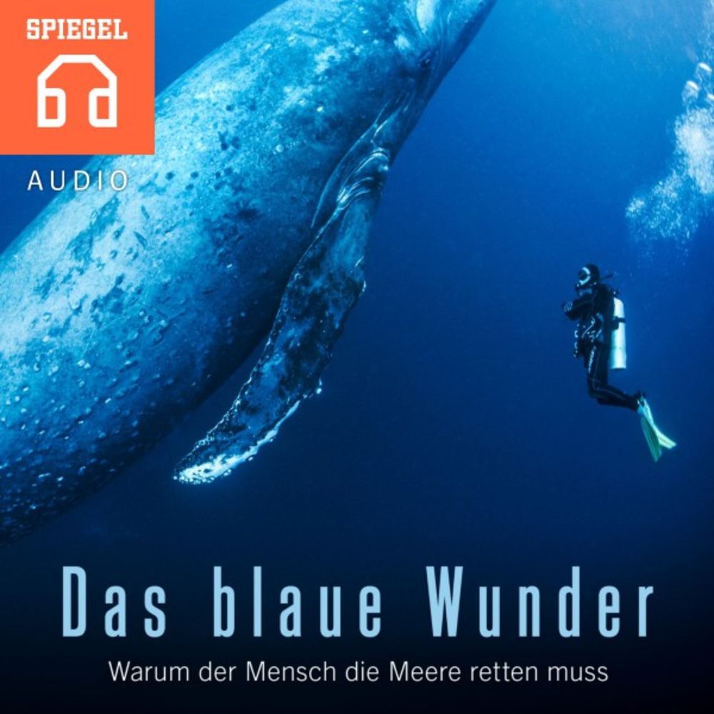 Das blaue Wunder - Deezer Deutschland Das blaue Wunder - Deezer Deutschland